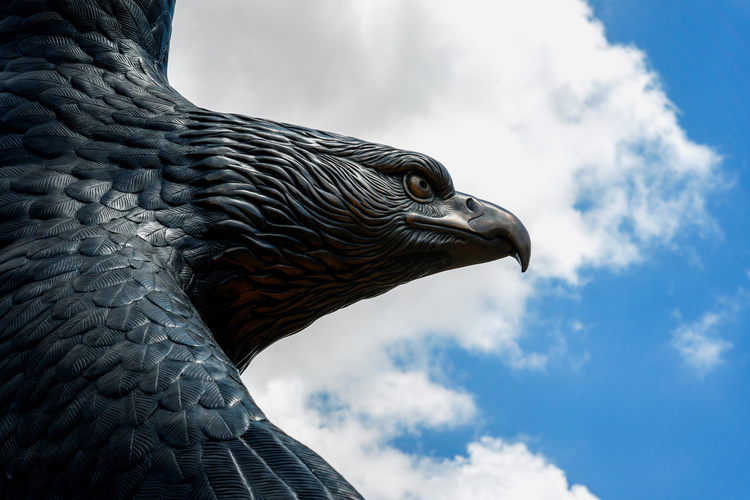 Summer 10-Week Session Drop with a Grade of W Begins - University of ...