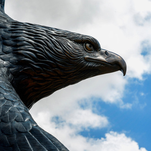 Schedule of Classes Available on myUNT – Summer & Fall 2024 ...