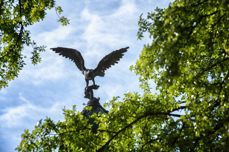 Spring Break - University of North Texas