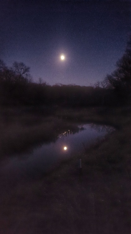 Full Moon Hike, Indiana Dunes State Park - State of Indiana