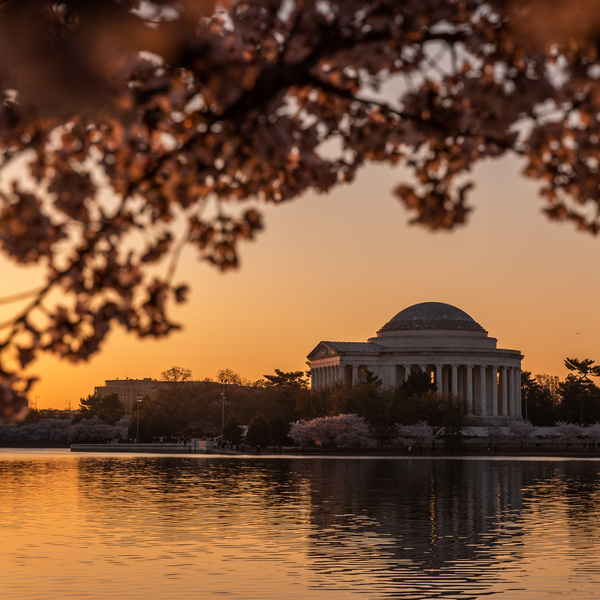 The George Washington University