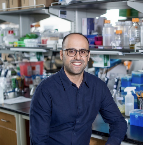 Engineering Bacteria for Cancer Therapy with Prof. Tal Danino (Columbia ...