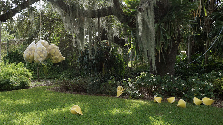 Artists, Scholars & Curators: A Lecture Series Faculty Edition - Donald ...