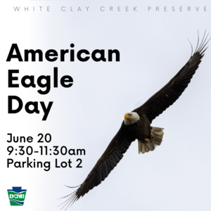 American Eagle Day Trail Tails - DCNR Calendar of Events