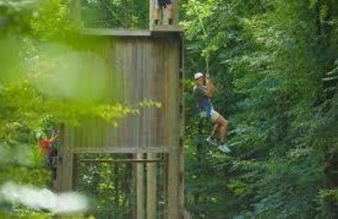 Challenge Course - University of Mississippi