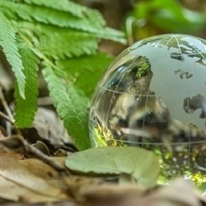 Sustainability at Spring Fest 2025 - Purdue University