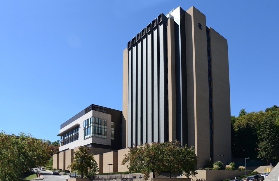 Professor Katlyn Meier (University of Miami) Seminar - University of ...