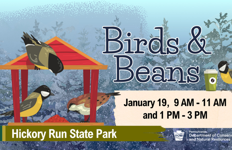 Birds & Beans - DCNR Calendar of Events