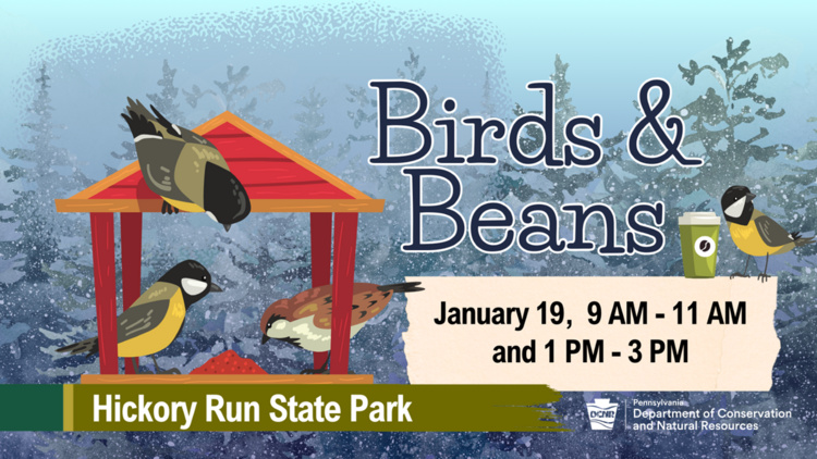 Birds & Beans - DCNR Calendar of Events